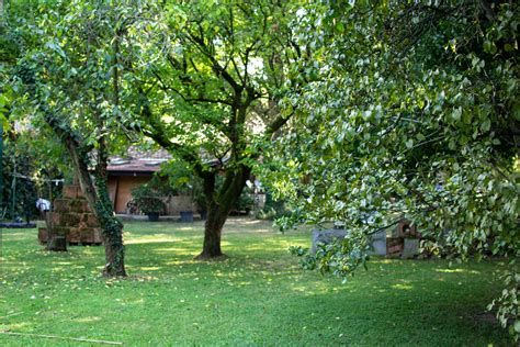 Giardini Interno Verde Interno Verde