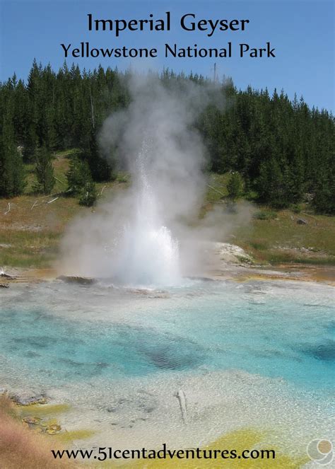 51 Cent Adventures Imperial Geyser Yellowstone National Park