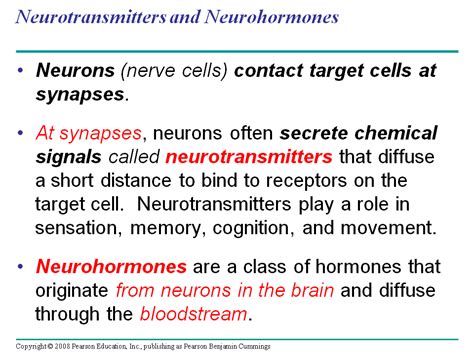 Neurotransmitters And Neurohormones