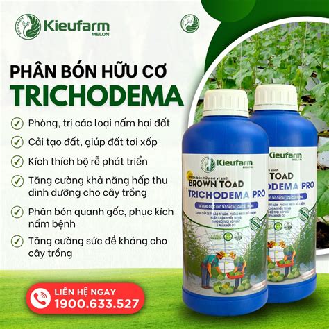 Vật PhÂn BÓn Vi Sinh Trichodema Pro BÍ QuyẾt ĐẤt TỐt CÂy KhỎe MẠnh 🍈 🍈 Trichodema Pro