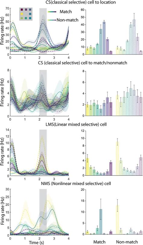 Emergence Of Nonlinear Mixed Selectivity In Prefrontal Cortex After Training Journal Of