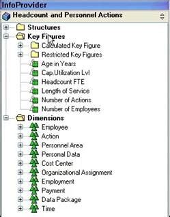 Easy Steps To Creating Reports Using The SAP BEx Query Designer