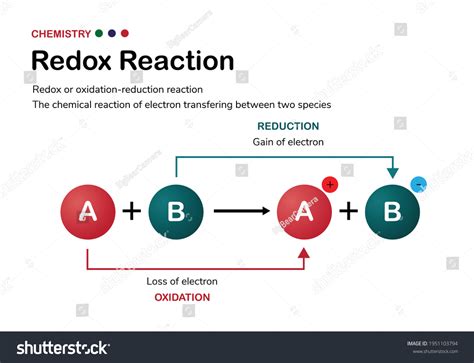 Chemical Diagram Explain Redox Reaction Electron Stock Vector Royalty