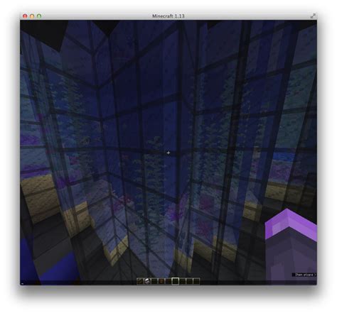 My Dolphins Randomly Disappear Rminecraft