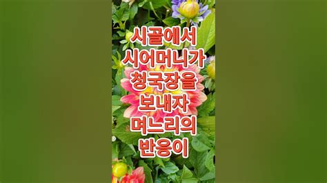 시어머니가 보낸 청국장을 받은 며느리의 행동이 Youtube