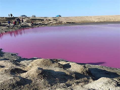 گلفشان نفتلیجه گمیشان آدرس، عکس هاو مسیر رفتن به گلفشان نفتلیجه