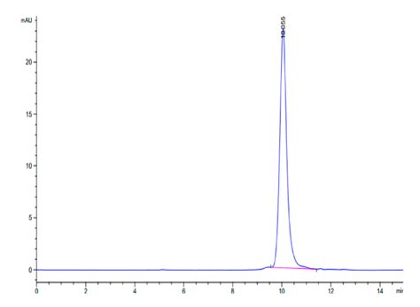 Human Interferon Omega 1 Protein Ifn Hm101 Kactus