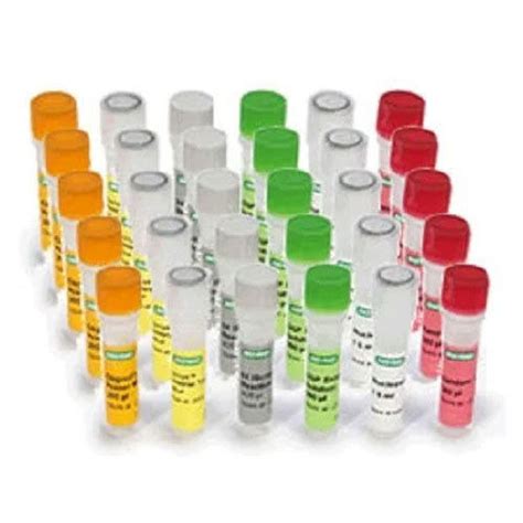 Primer Synthesis Service Plastic Portable Designed For Hospital