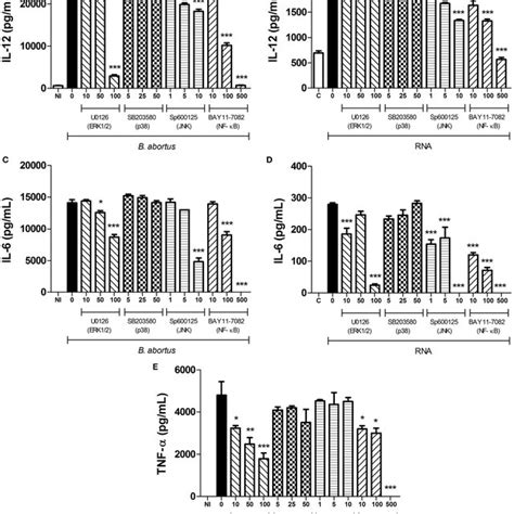Mapknf κb Signaling Pathways Involved On Cytokine Production In Download Scientific Diagram