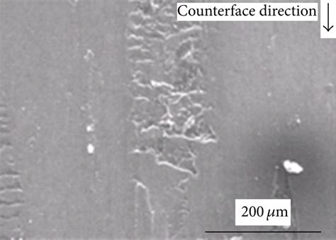 The Surface Morphology Of The Composites After Adhesive Wear Download Scientific Diagram