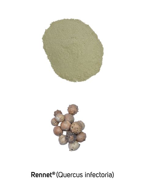 RENNET - AMA Herbal Group