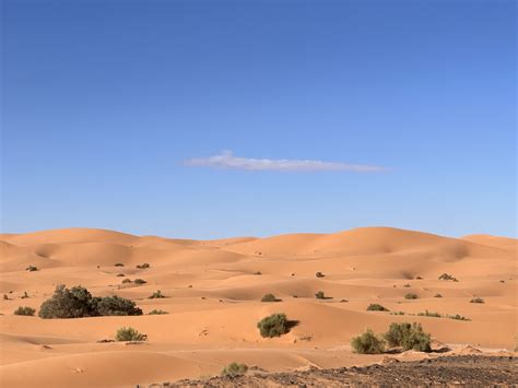 Sahara Desert Background