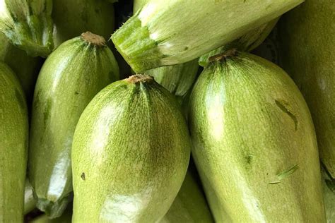 10 Types Of Summer Squash And How To Cook With Them