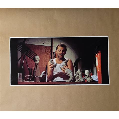 Caddyshack Movie Scene Poster 12 X 24 Bill Murray Carl Gopher Golf