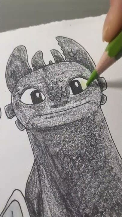 투슬리스 쓱싹 쓱싹 투슬리스 나이트퓨어리 라이트퓨어리 드레곤길들이기3 Howtotrainyourdragon 그림 낙서 ㅊㅊ 추천 커플 Shorts