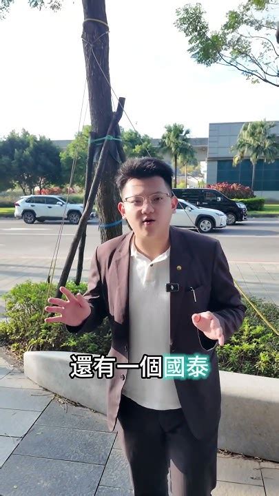 喜徠登11房部分1 青埔 高鐵國泰亞昕興富發潤隆中路重劃區 小檜溪 經國重劃 航空城 八德擴大重劃 捷運綠線 機捷