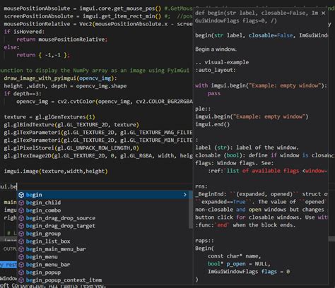 Pyimgui Public Interfaces Enables IDE Autocomplete Issue 263
