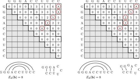 Optimal Secondary Rna Alignment And Nussinovs Algorithm By Aditya Mittal Medium