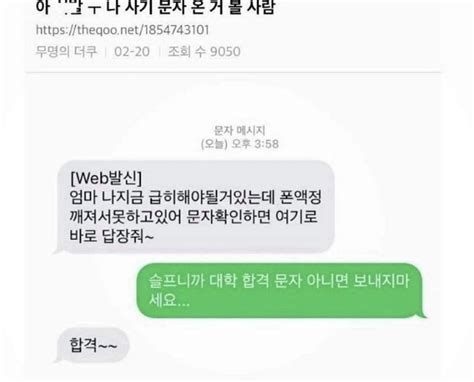 보이스피싱 문자온 거 볼사람 유머움짤이슈 에펨코리아