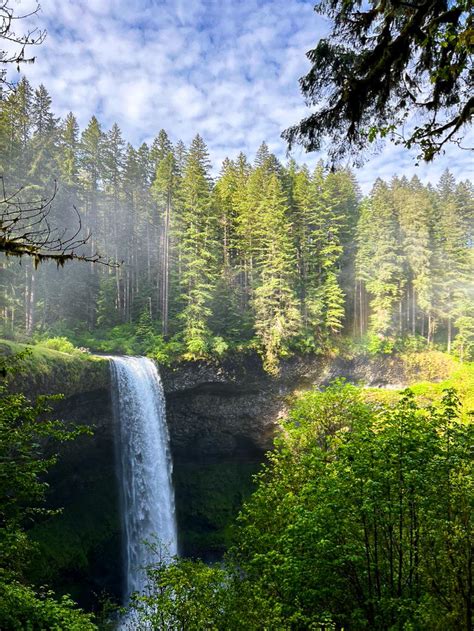 Explore Oregons Silver Falls State Park R Camping