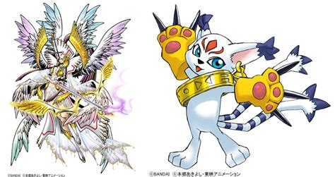 Digimon Angewomon Evolution