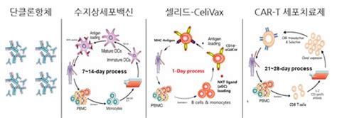 이미지 Celivax 항암면역치료백신 제조의 경쟁력