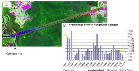 A Spatial Distribution Of The Peat Drilling Samples Over The Lidar Download Scientific