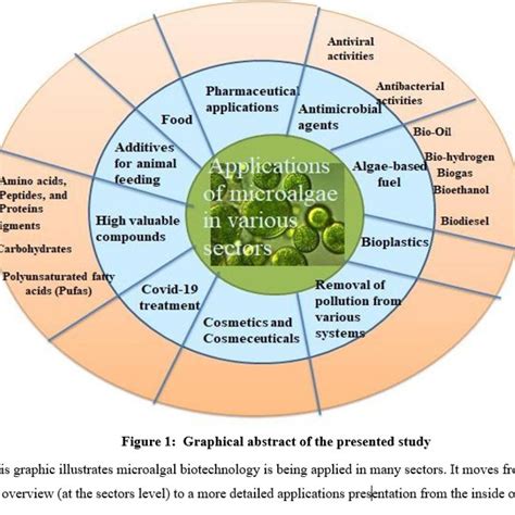 Review On Microalgae Potential Innovative Biotechnological Applications Biosciences