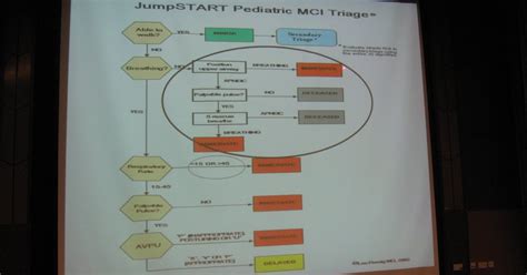 Sptriageblogspot Role Of Field Triageur