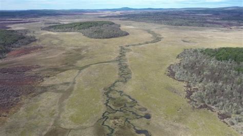 Spatio Temporal Remotely Sensed Indices Identify Hotspots Of Biodiversity Conservation Concern