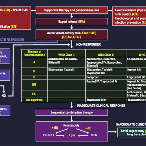 Evidence Based Treatment Algorithm For Pulmonary Arterial Hypertension