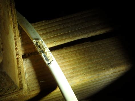 Common Electrical Defects Found During Home Inspection — Caliper Home
