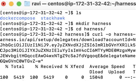 Automated Devsecops With Stackhawk And Harness Harness