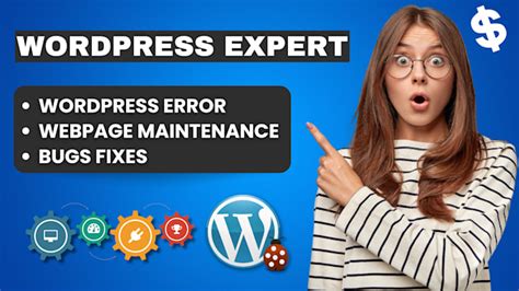 Fix Any Wordpress Issues Bugs Or Errors Within 5 Hours By Ahmedkabeer