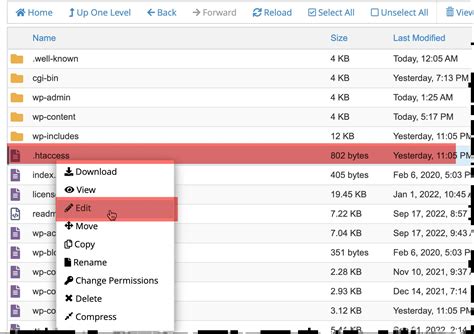 How To Access And Edit Htaccess File Using CPanel IntoHOST