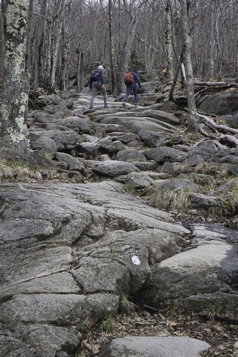 Mount Monadnock The Hoppy Hikers