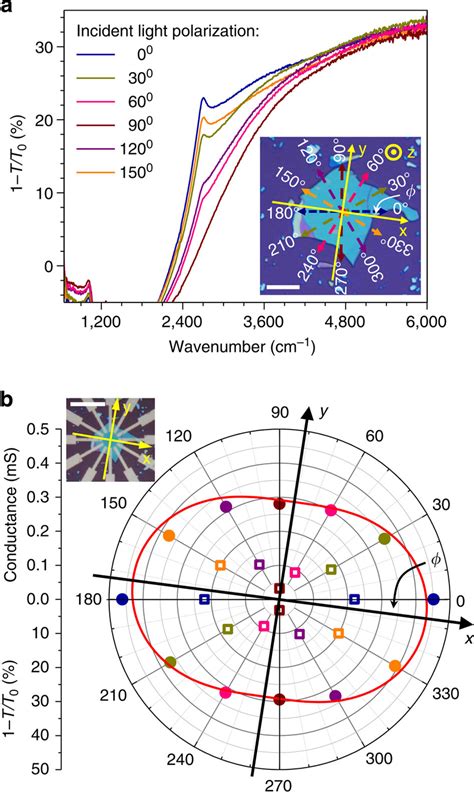 Polarization Resolved Infrared Spectroscopy And Angle Resolved Dc