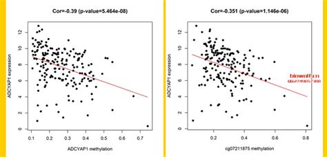 Tcga甲基化数据下载差异分析生存分析课程试学 生信自学网