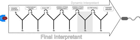 The Sign As A Process The Figure Shows The Semiotic Process Of