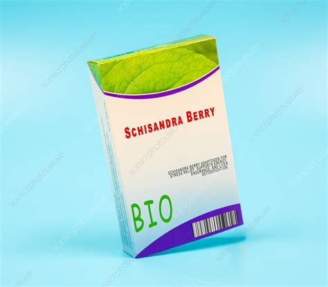 Schisandra Berry Stock Image F045 4818 Science Photo Library