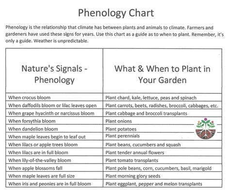 Soil Temperatures And Phenology Handy Chart Devine Gardens