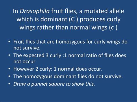 Ppt Lethal Alleles Powerpoint Presentation Free Download Id 2420666