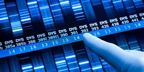 Probabilistic Genotyping In The Forensic Lab Lab Manager