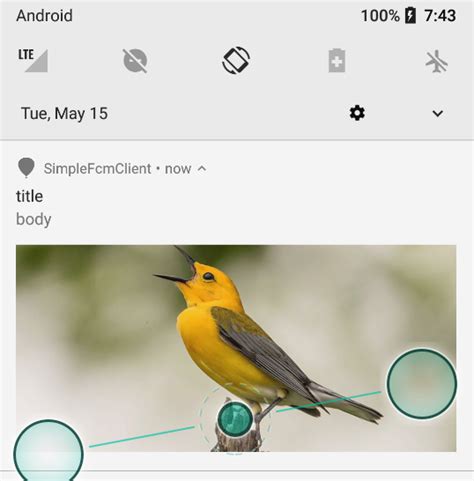 big picture notification · issue 936 · evollu react native fcm · github