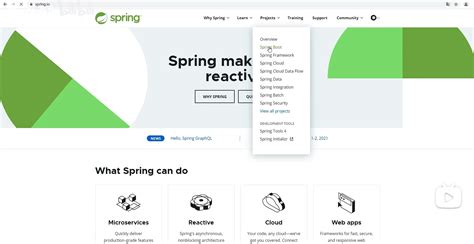 创建SpringBoot项目的四种方式 Linqylin 博客园