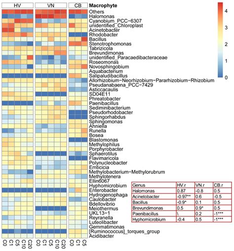 Interspecific Differences In Carbon And Nitrogen Metabolism And Leaf Epiphytic Bacteria Among