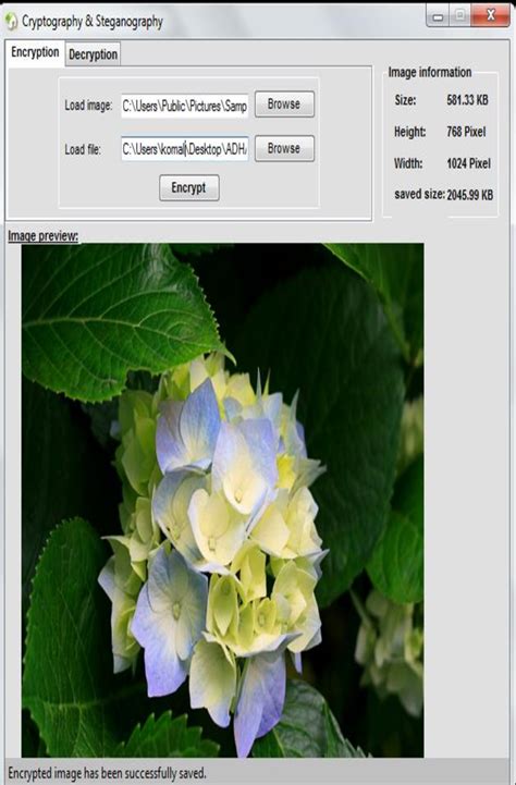 Figure 4 From Information Hiding Using Least Significant Bit