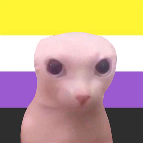Non Binary Bingus Genderqueer Lgbt Art Nonbinary Flag