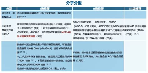 2022版csco肺癌诊疗指南更新，这个基因突变的检测进一步被重视！ 临床 患者 治疗