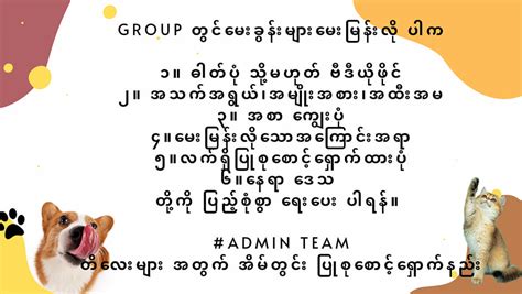 တိလေးများအတွက် အိမ်တွင်းပြုစုစောင့်ရှောက်နည်း ခွေးပေါက်လေးတွေမွေးခ